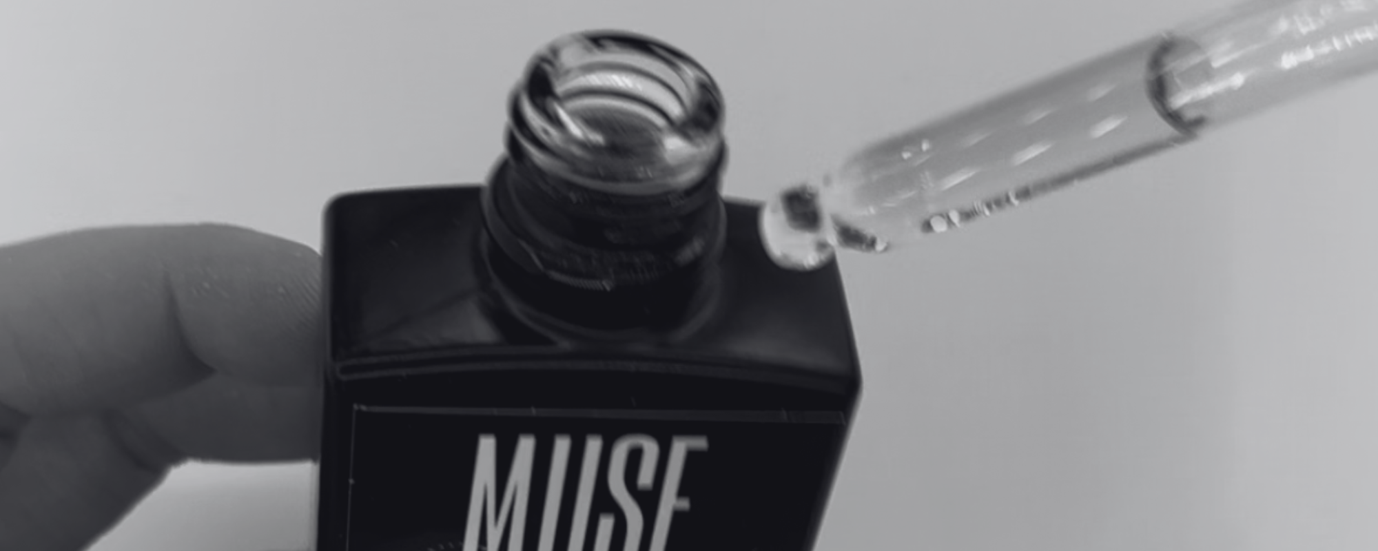 Salon Essentials | MUSEfile.co.uk